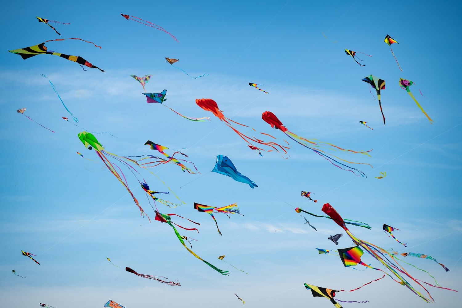 Rencontres Internationales de Cerfs-Volants 2026 à Berck-sur-Mer